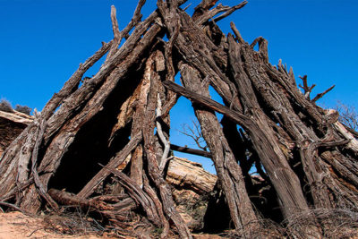 Bears Ears Inter-Tribal Coalition